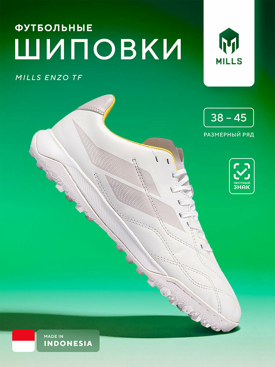 Сороконожки