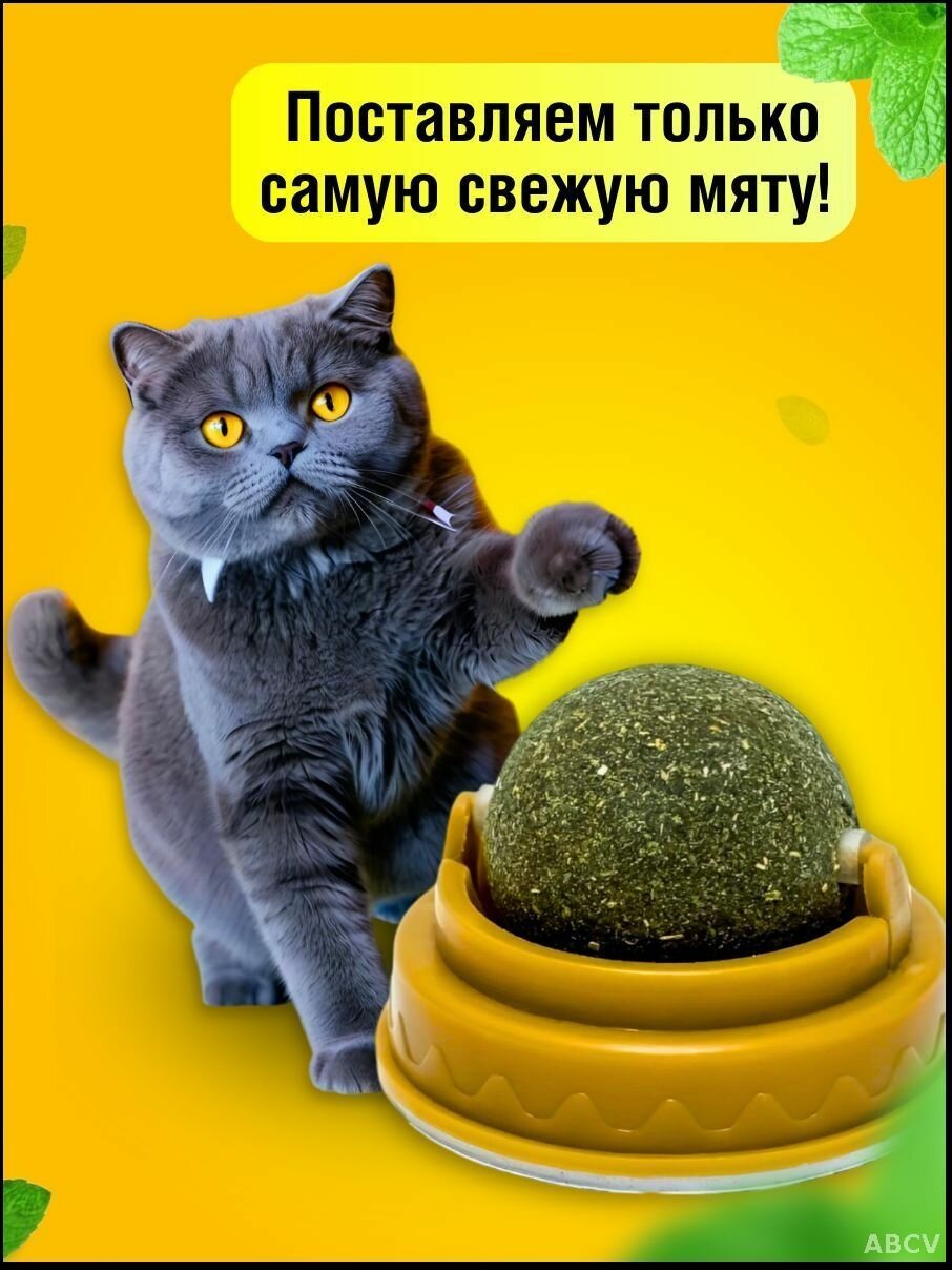 Кошачья мята игрушка для кошек - вращающийся мятный шарик на стену
