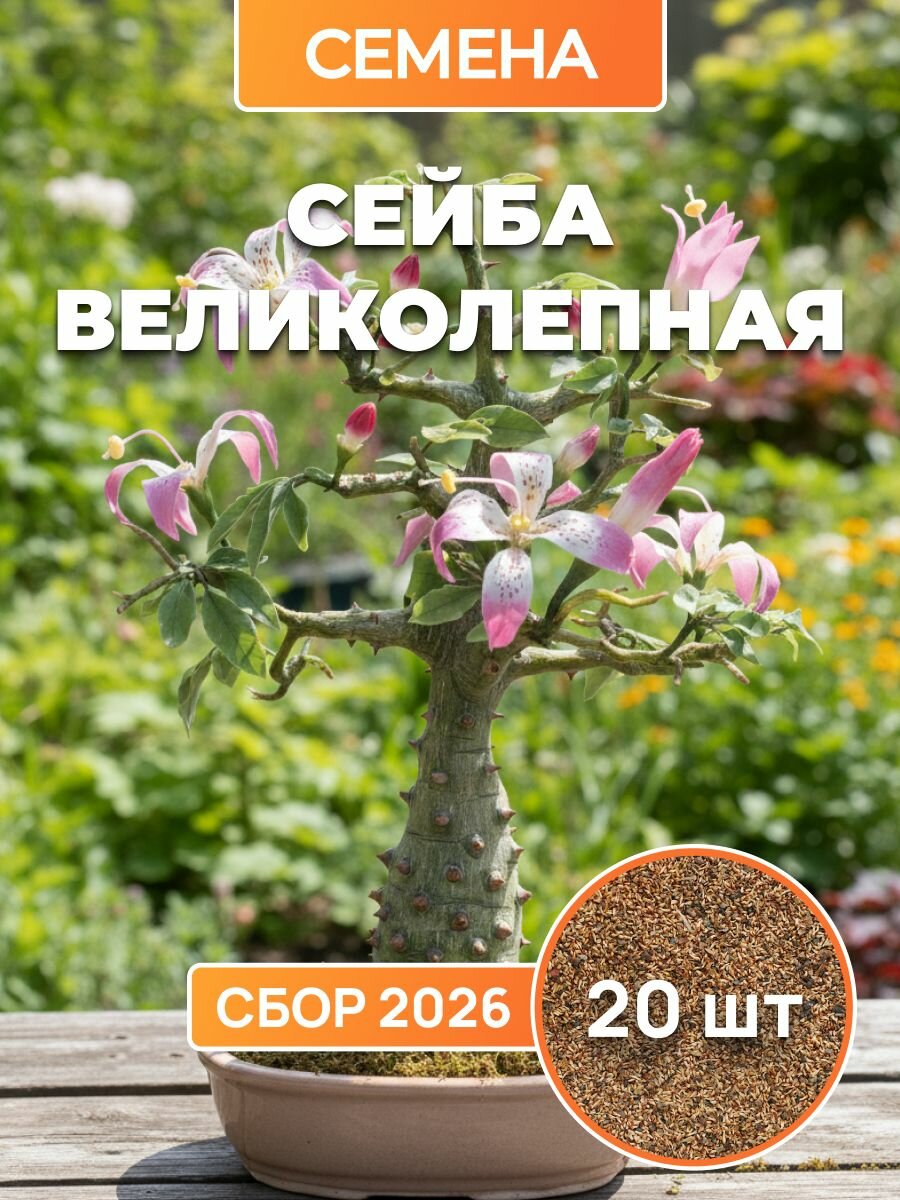 Семена Сейба великолепная (Ceiba speciosa) — Бутылочное дерево, комнатное, экзотическое с розовыми цветами, 20 шт