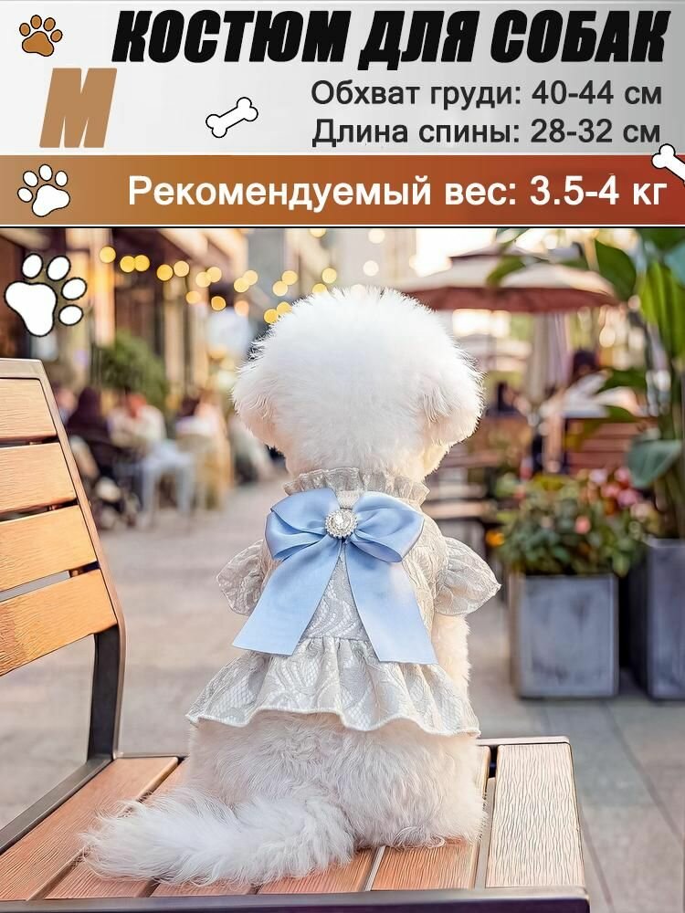 Одежда для собак мелких пород кружевное платье с бантом