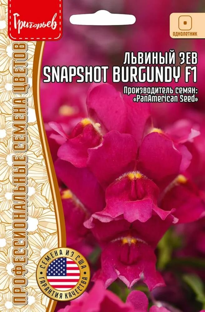 Семена Львиный зев "SNAPSHOT BURGUNDY F1" Семена из США "Григорьев"