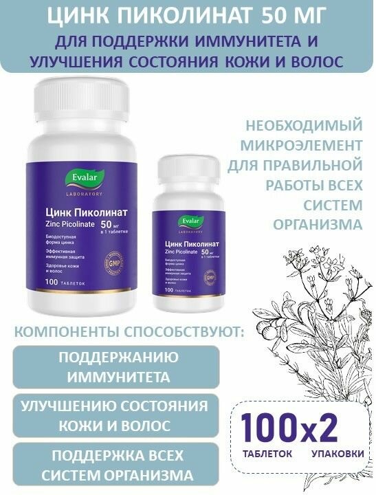 БАД Цинк пиколинат 100 шт. таблетки, покрытые оболочкой массой 0,6 г - 2уп