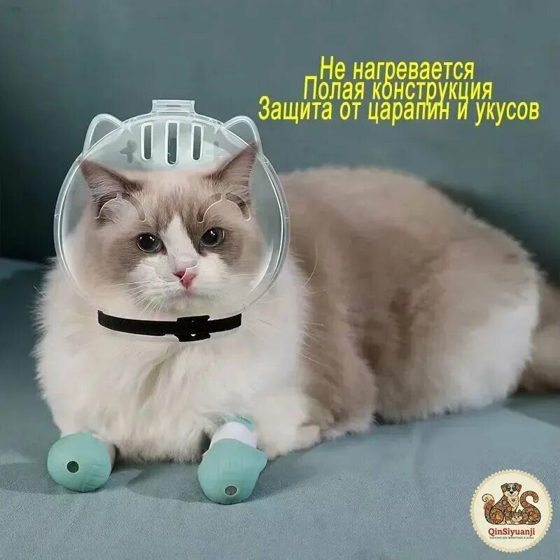 Намордник дышащий для кошек / Шaр плacтиковый пpoзрачный крyглой формы на голову Шлeм грyминга, Купoл защитный от укусов