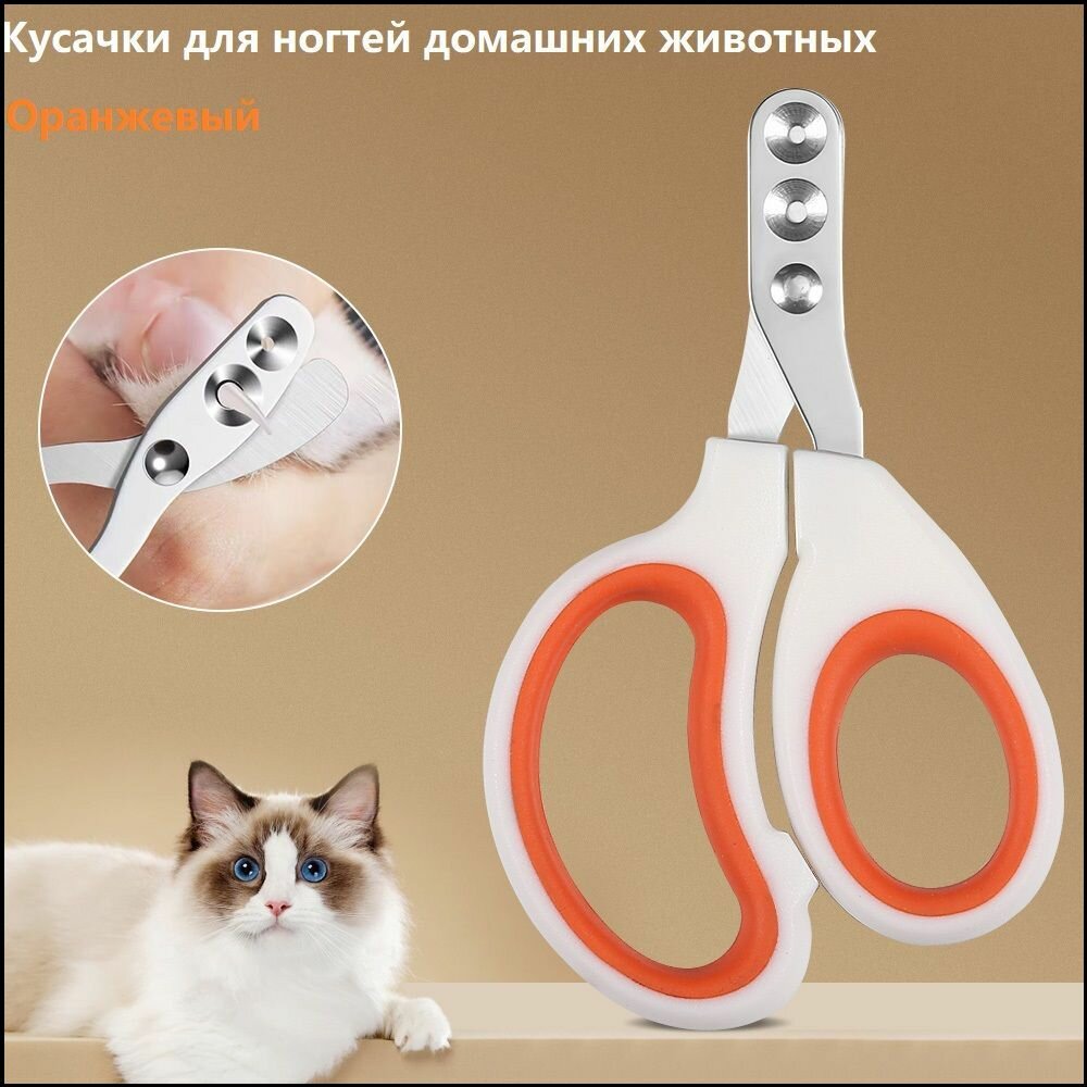 Когтерез
