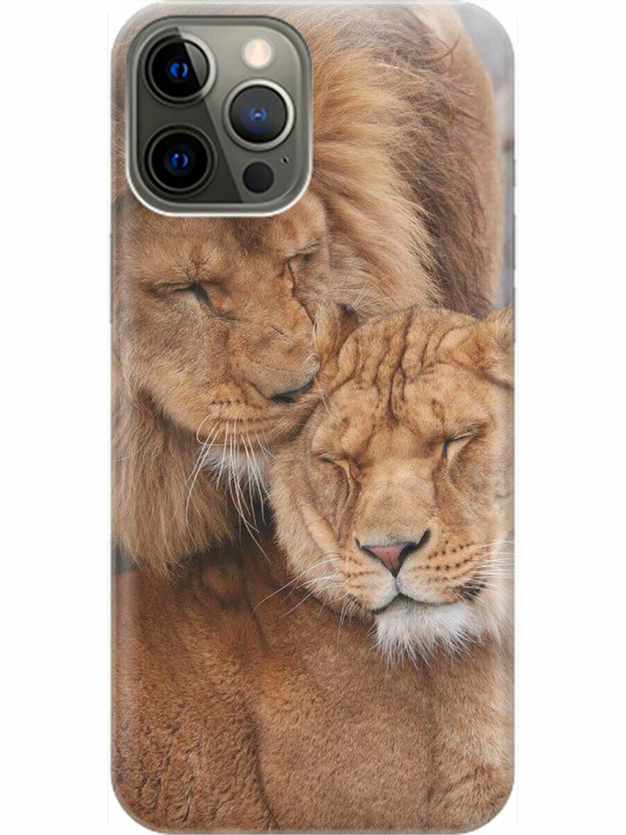 Силиконовый чехол на Apple iPhone 12 Pro Max / Эпл Айфон 12 Про Макс с рисунком "Милые львы"