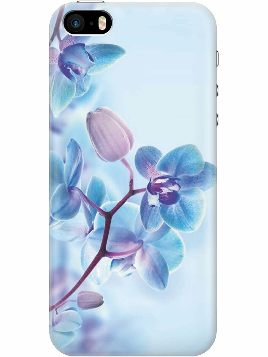 Силиконовый чехол на Apple iPhone SE / 5s / 5 / Эпл Айфон 5 / 5с / СЕ с рисунком "Синий цветок на синем"