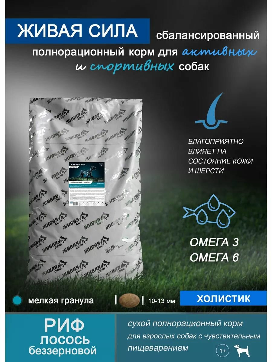 Сухой корм Холистик для собак РИФ беззерновой с лососем мелкая гранула 20кг
