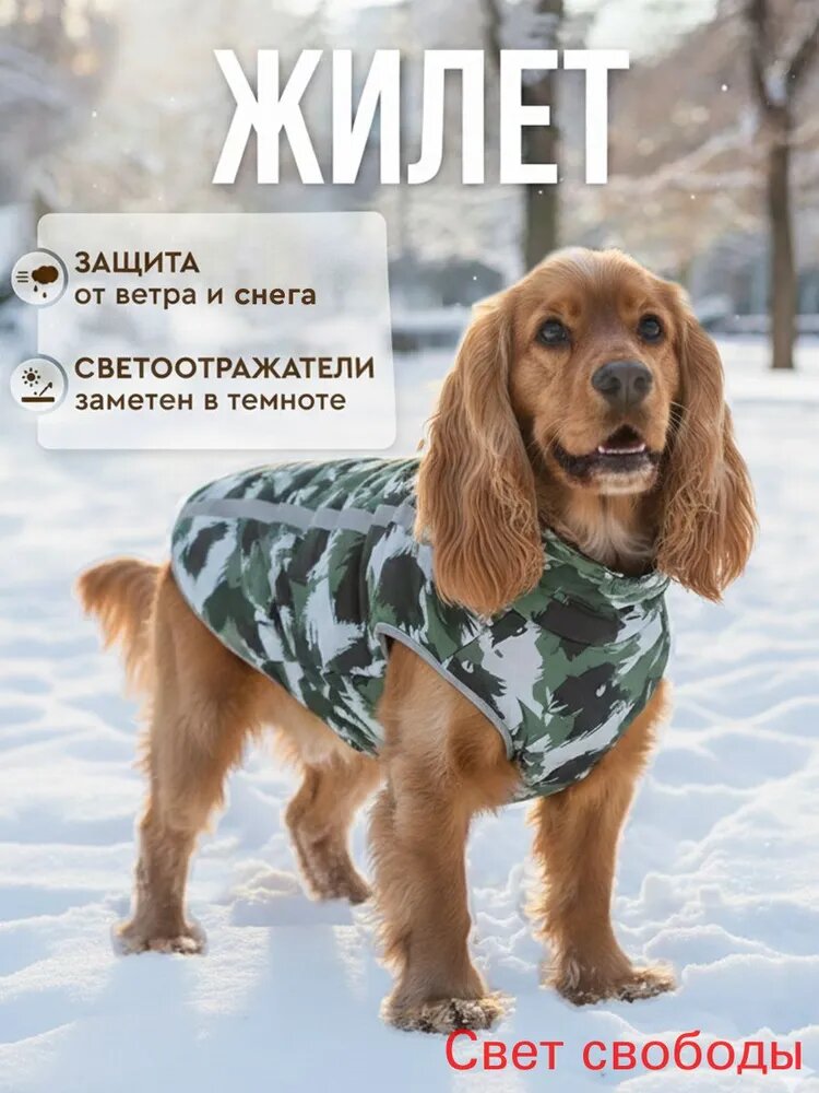 Одежда для собак — фото 1