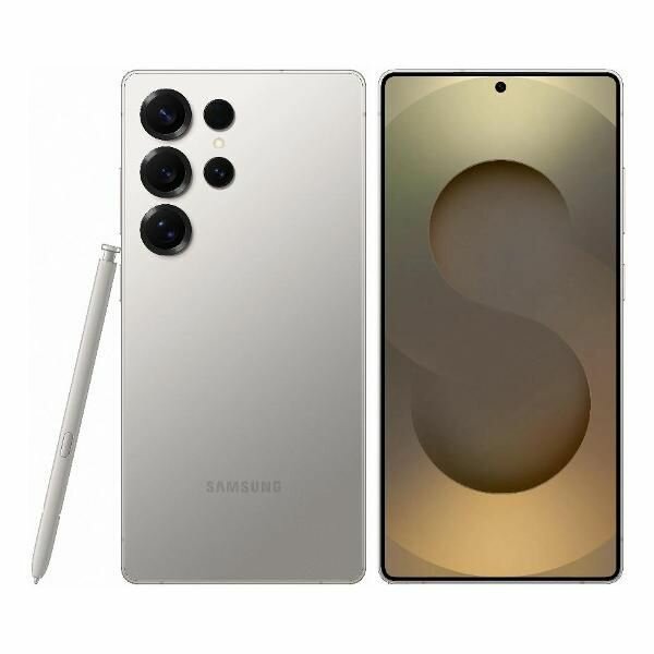 Смартфон Samsung Galaxy S25 Ultra 12/256GB Titanium Gray