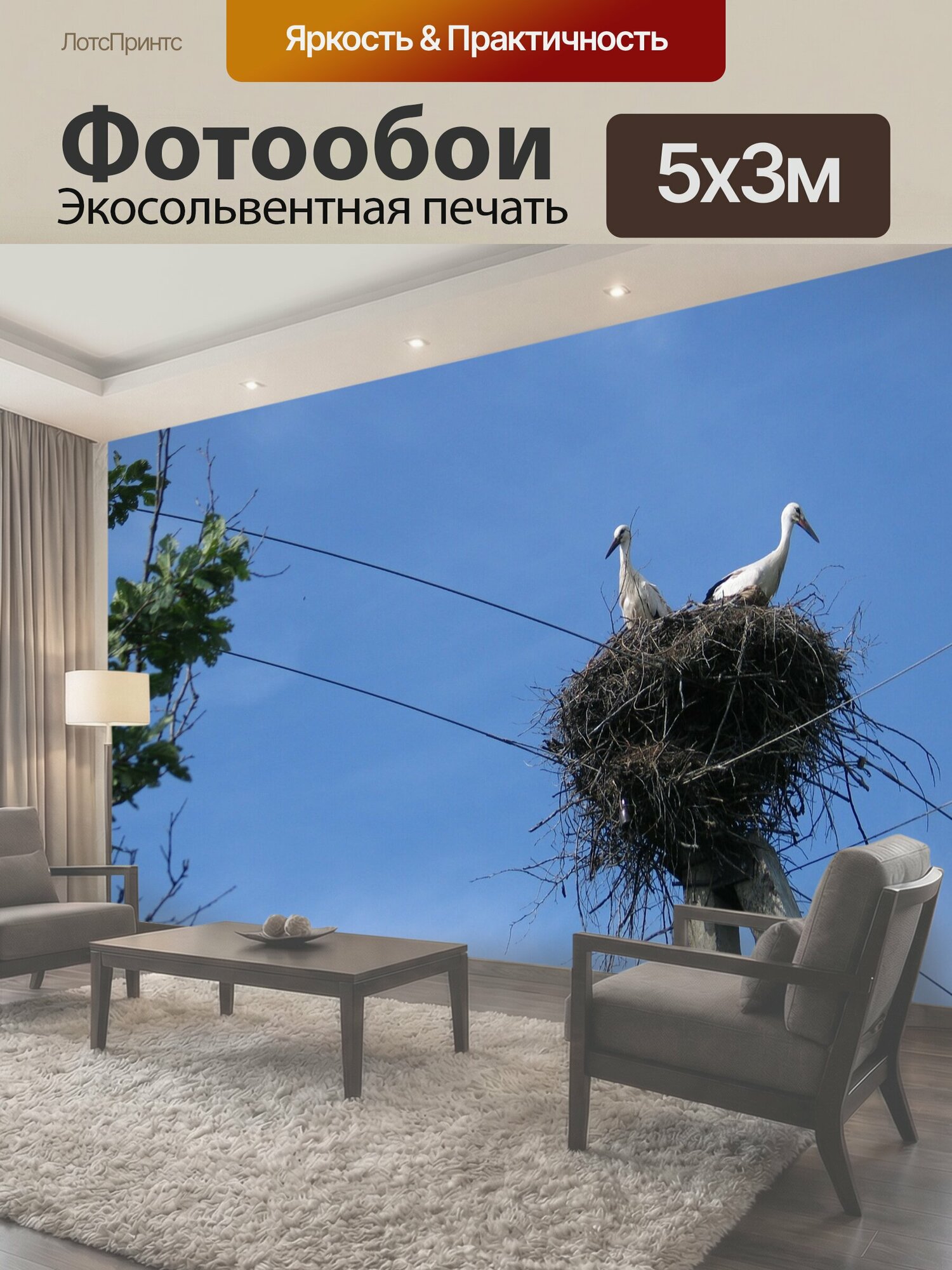 Фотообои "Аист, гнездо, птицы" 500x300 см. экосольвентная печать