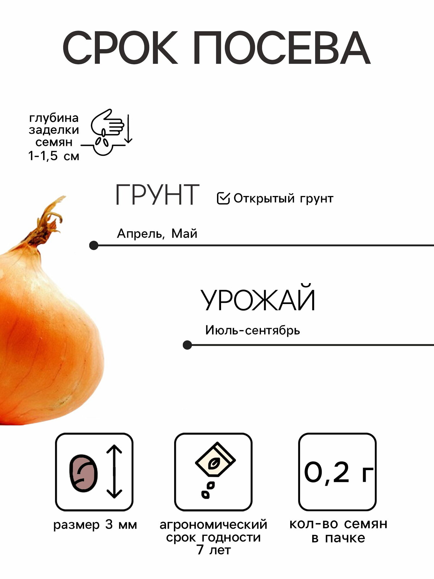 Семена Лук репчатый "Эксибишен", 0.2 г, bejo, посев (посадка) в грунт: апрель — фото 1