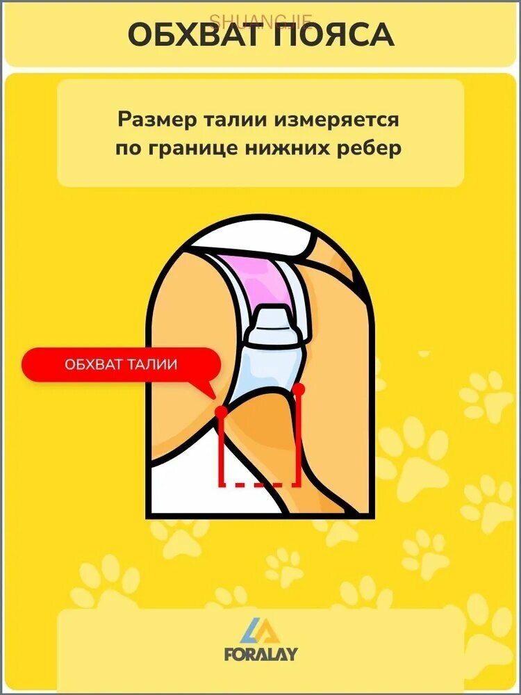 Подгузники для животных — фото 1