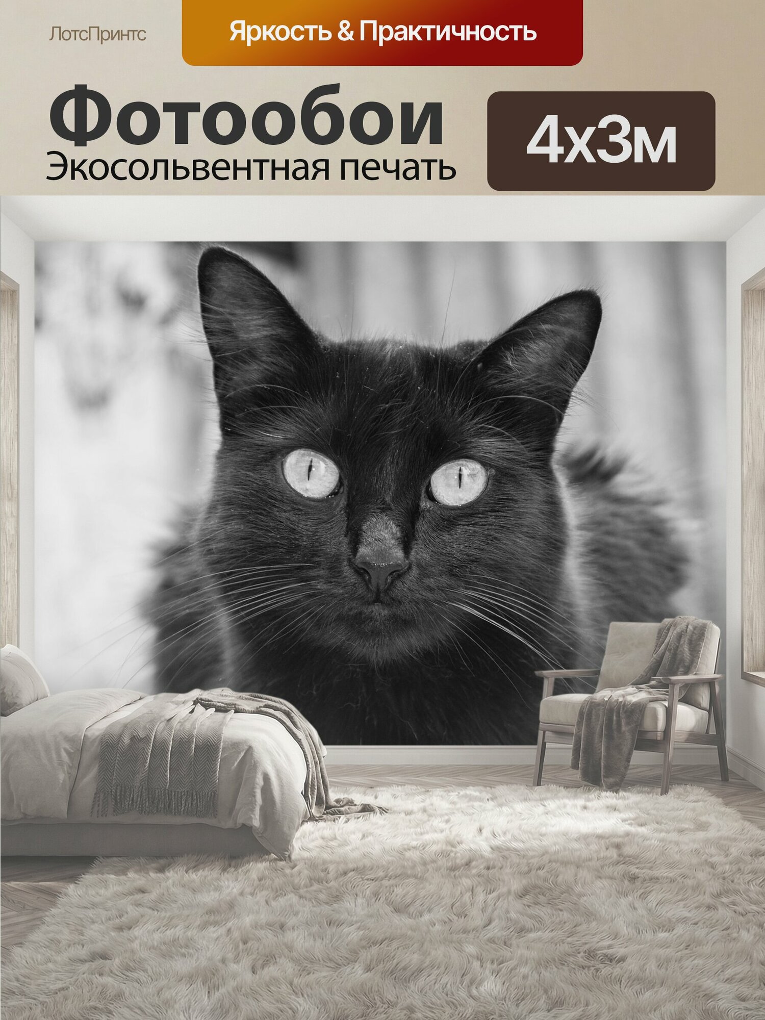 Фотообои "Гато, кошка, ан" 400x300 см. экосольвентная печать