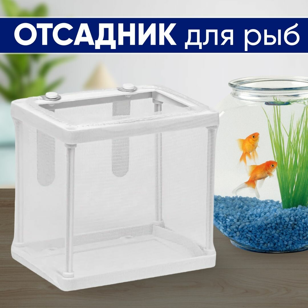 Отсадник для рыб, белый, 13 x 8 x 12 см