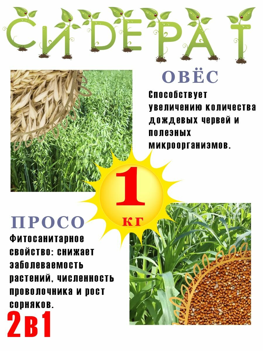Сидерат Овес Просо 1кг