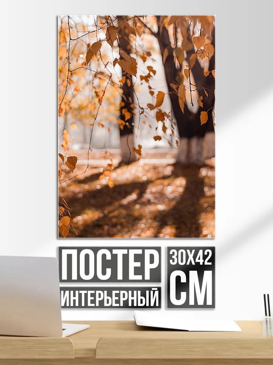 Плакат постер Осенний лес в лучах