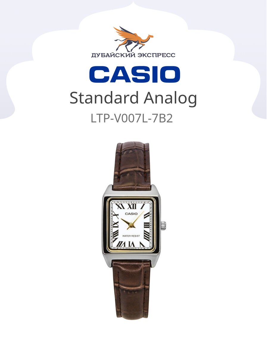  CASIO