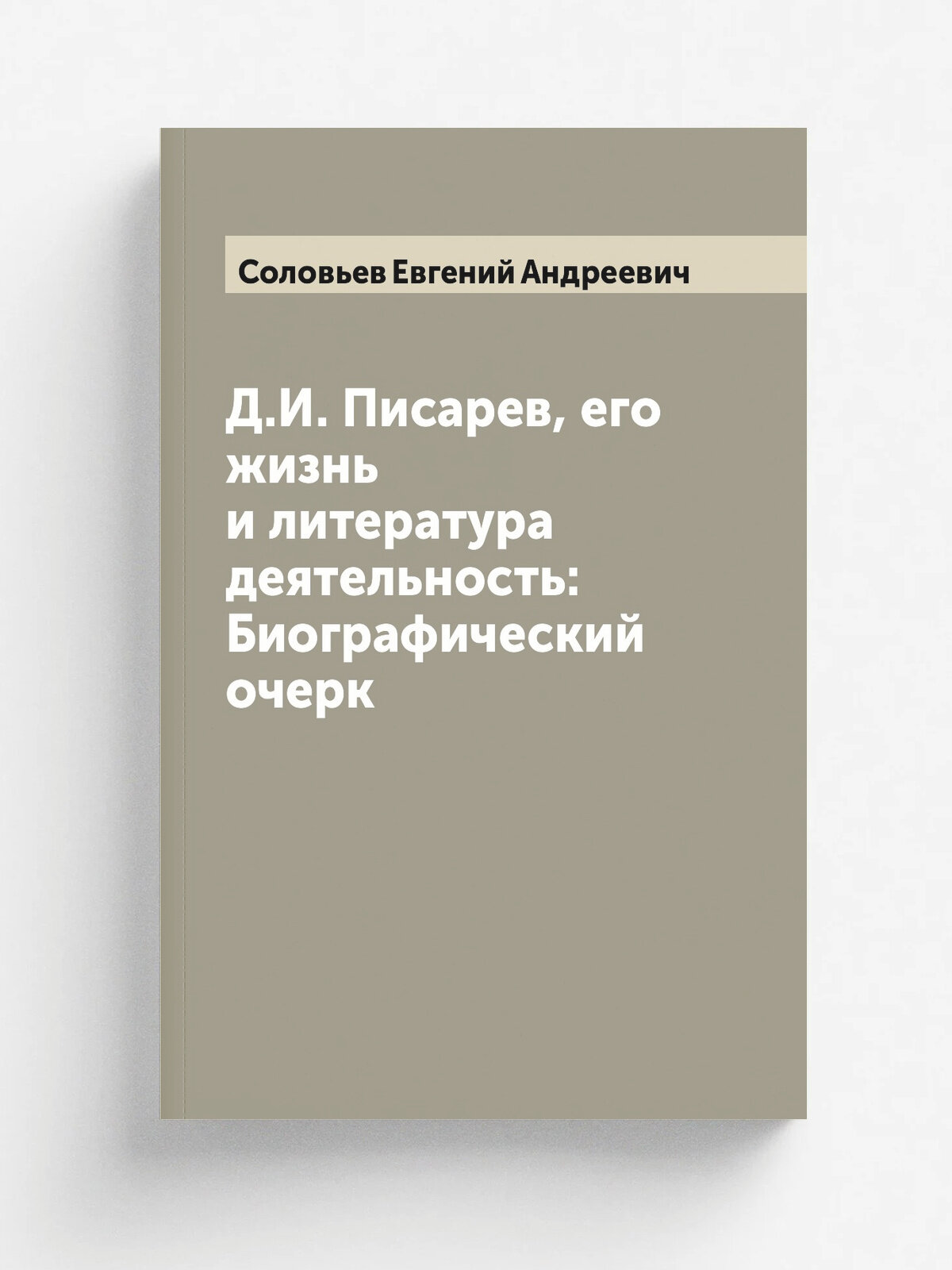 Д. И. Писарев, его жизнь и литература деятельность: Биографический очерк