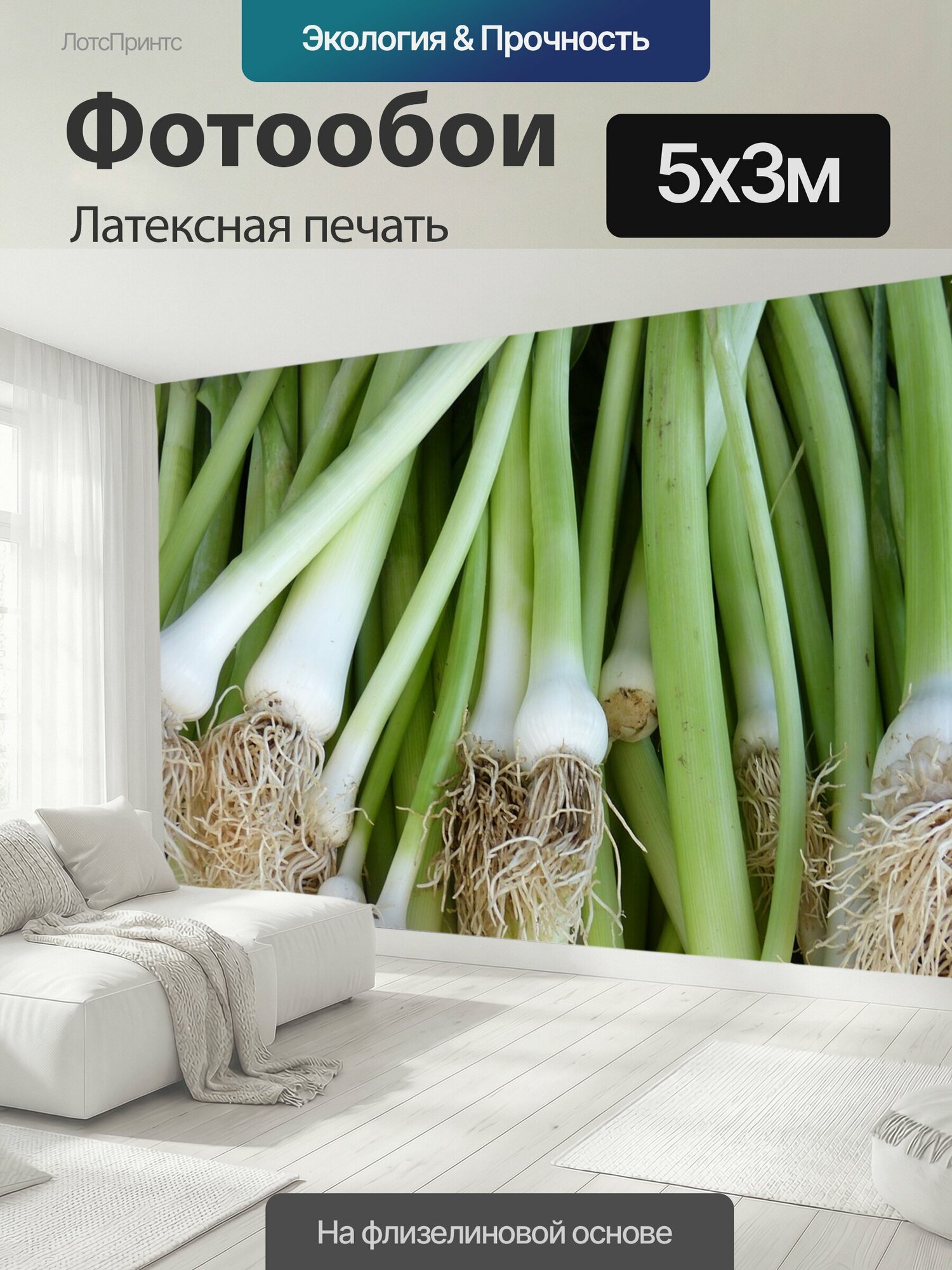 Фотообои моющиеся ударопрочные "Лук-порей, зеленый лук, еда" 500x300 см. латексная печать