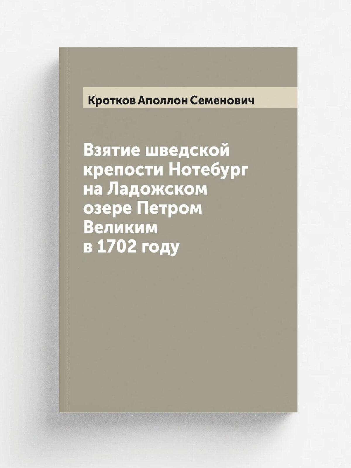 Взятие шведской крепости Нотебург на Ладожском озере Петром Великим в 1702 году