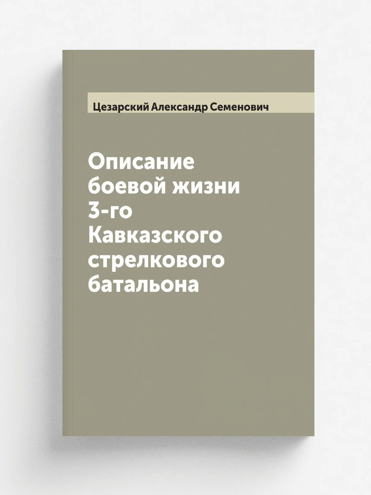 Описание боевой жизни 3-го Кавказского стрелкового батальона