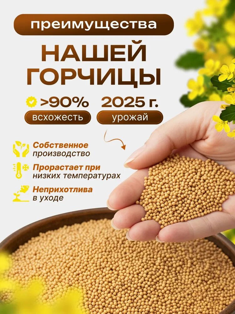 Горчица семена Сидерат для посева 5кг. — фото 1