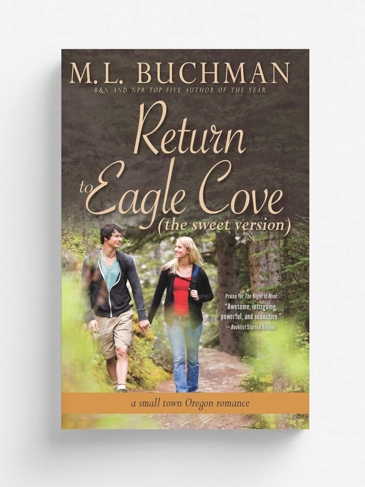 Return to Eagle Cove (sweet). a small town Oregon romance