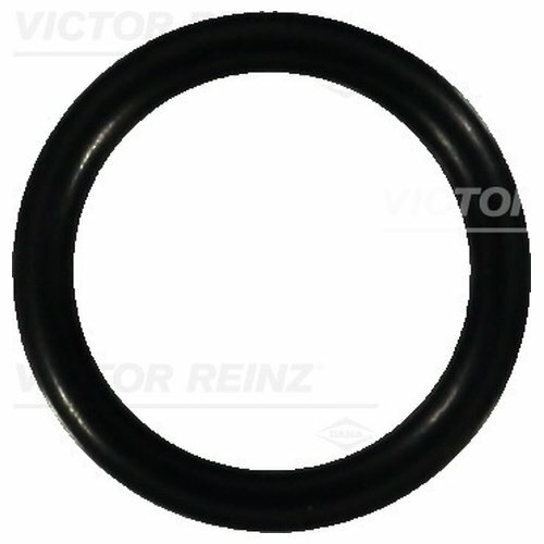 Сальник коленчатого вала Victor Reinz 407605900