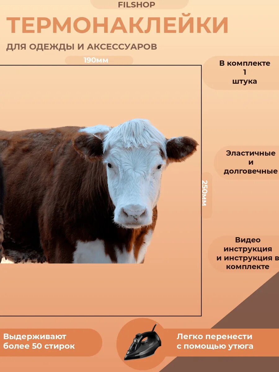 Термонаклейка на одежду