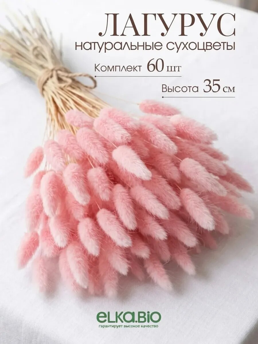 Лагурус сухоцвет светло-розовый 60 штук, натуральные сухоцветы для декора Elka.bio до 35 см