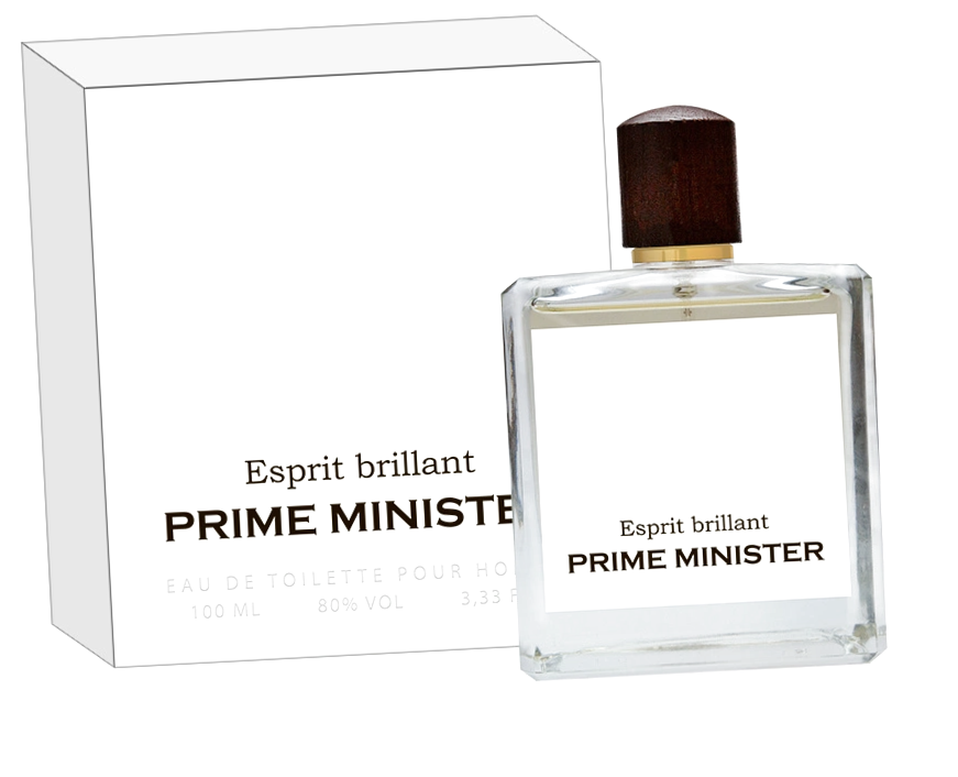 Eau de toilette Prime Minister Esprit Brillant 100 мл мужской / Премьер Министр