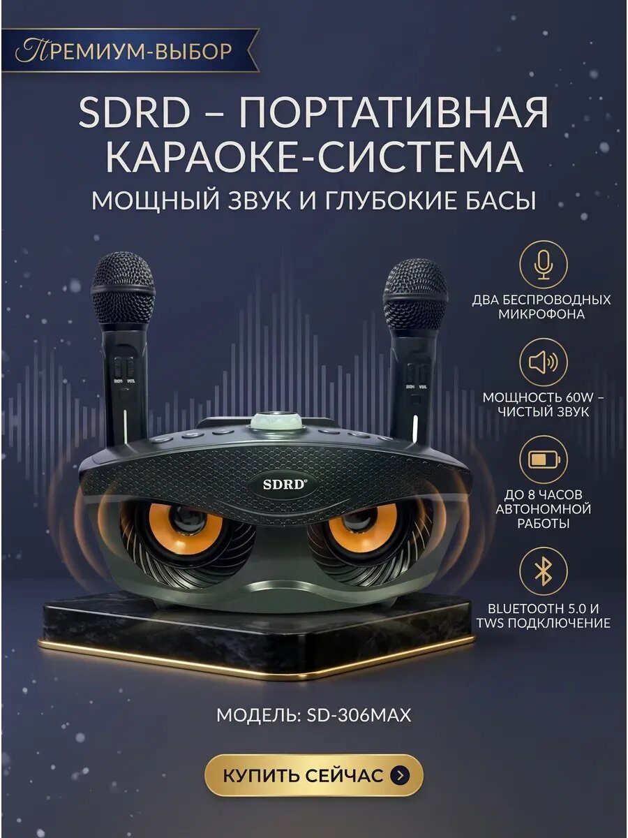 Караоке система портативная для дома с микрофонами