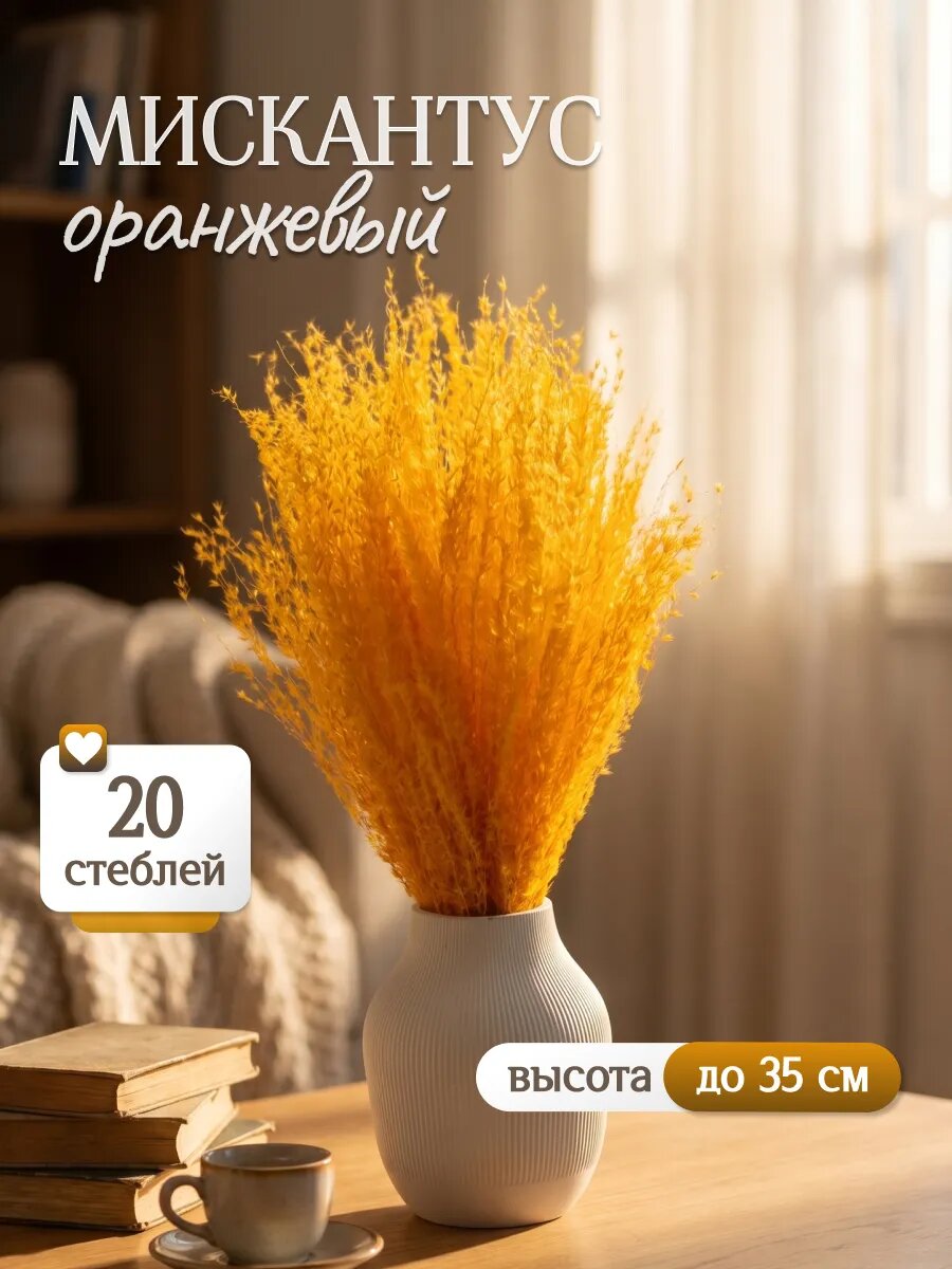 Мискантус оранжевый 20 шт, сухоцветы для декора и интерьера до 35 см, elka.bio