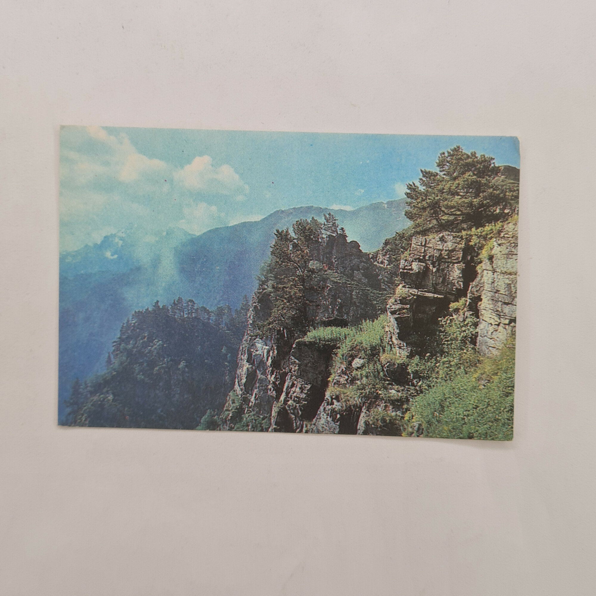 Карманный календарик СССР 1981. Горный пейзаж с хвойными деревьями и скалами. Советский календарь