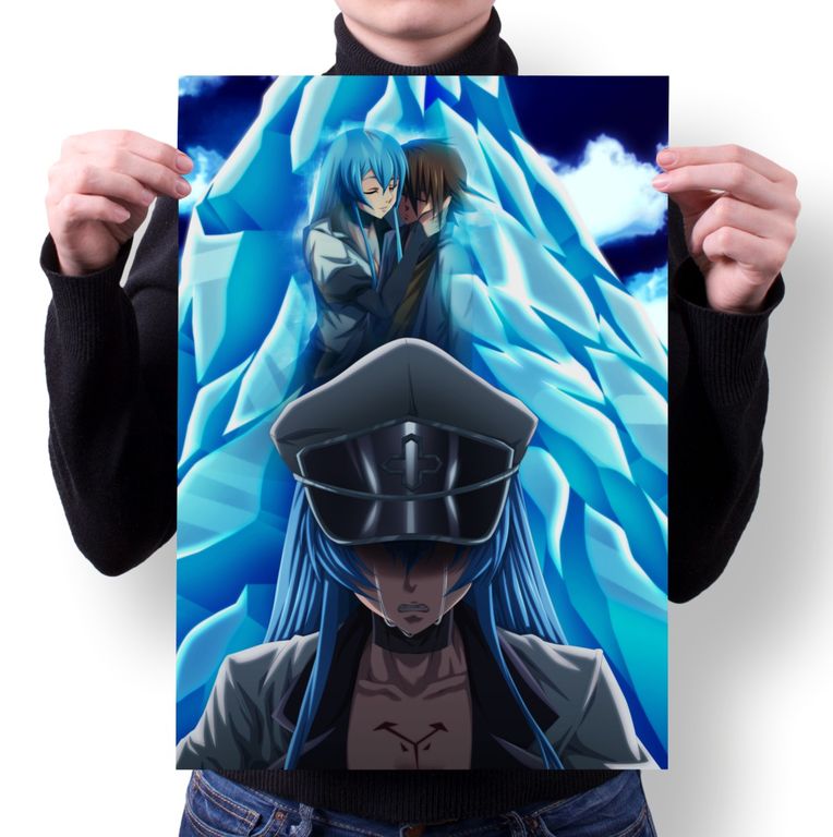 Плакат Убийца Акамэ, Akame ga Kill №9, А3