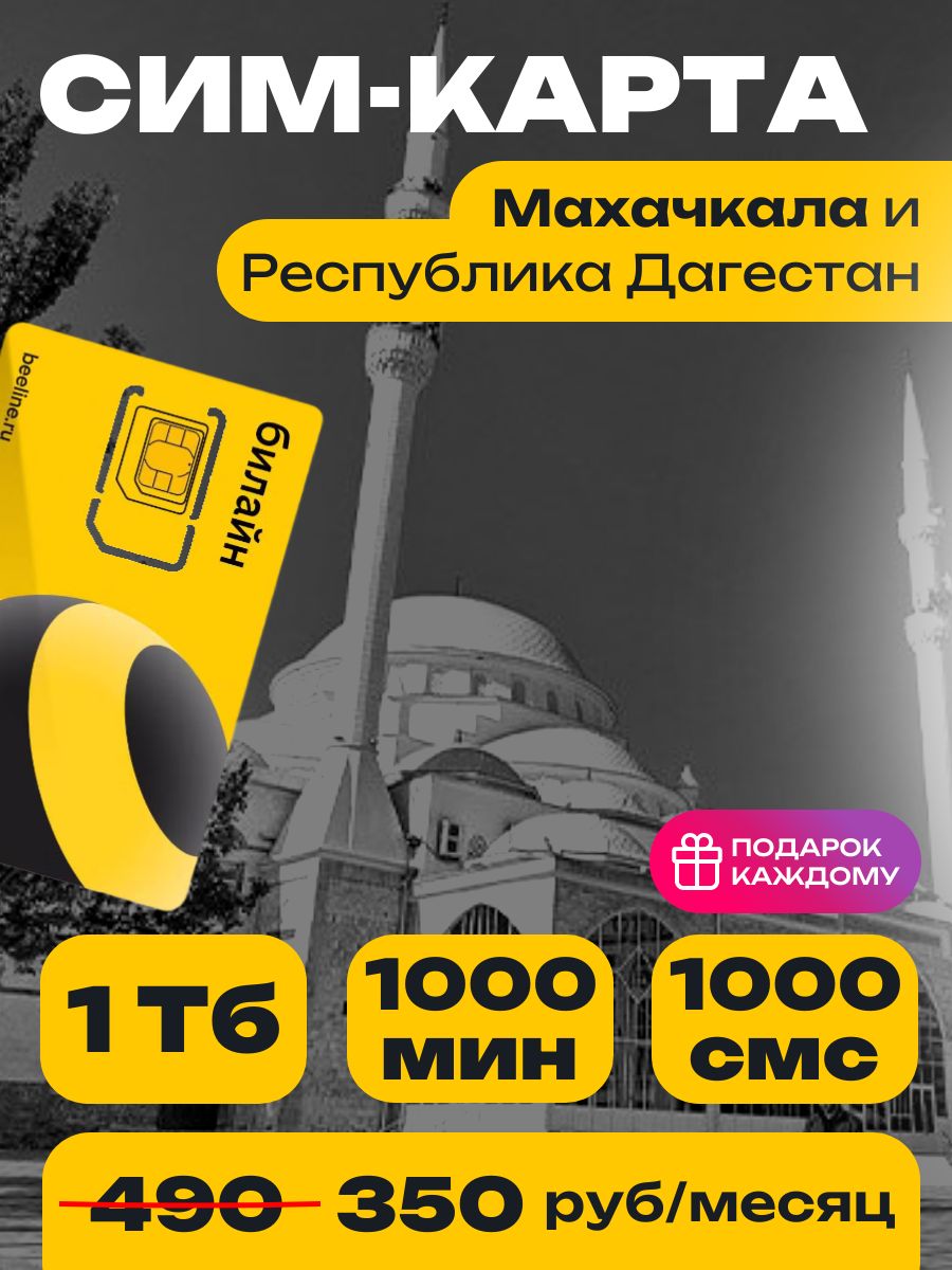 Сим-карта Билайн тариф Выгодный Республика Дагестан 1000 Гб и 1000 минут за 350 руб.