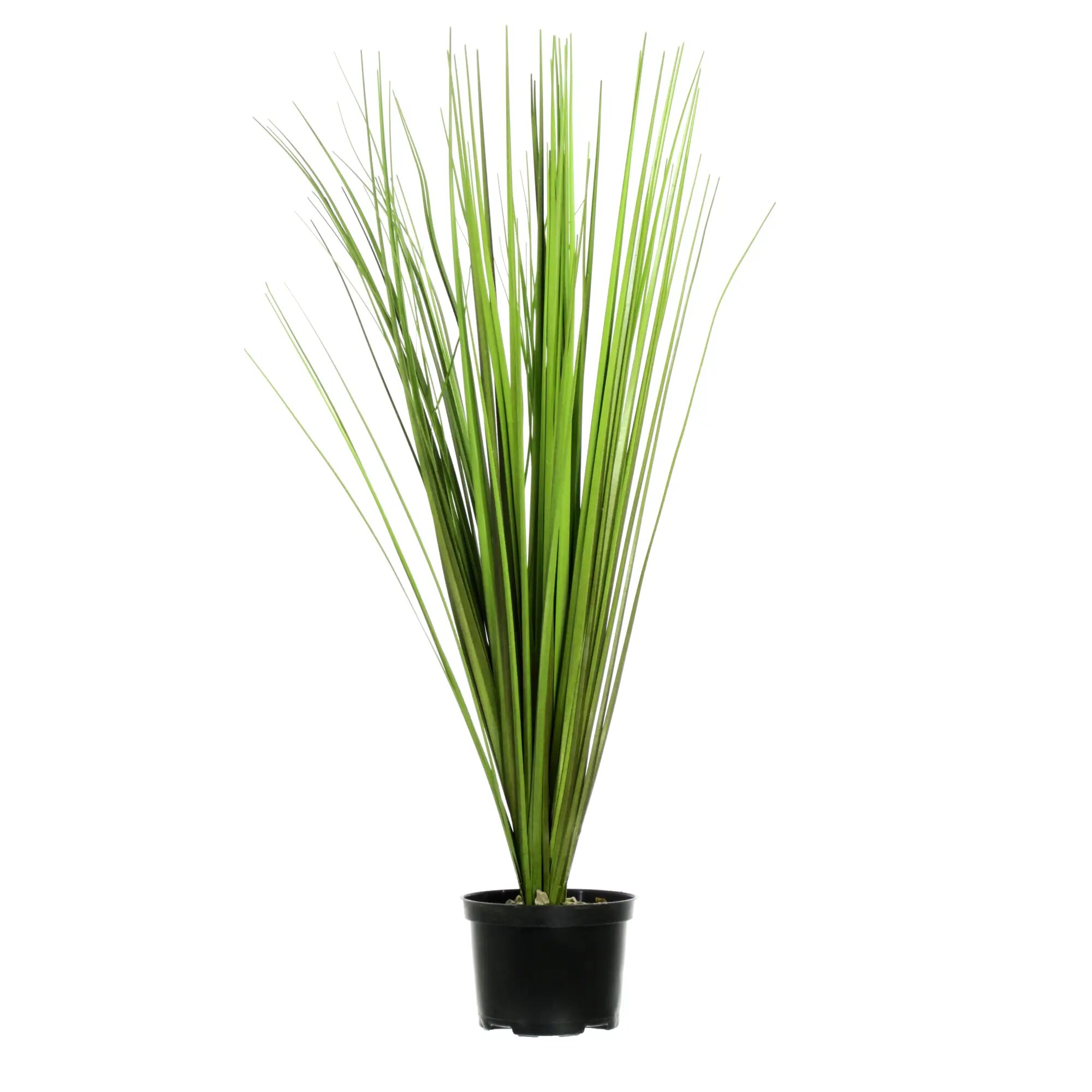 Искусственное растение в горшке осока Гарри h50 см