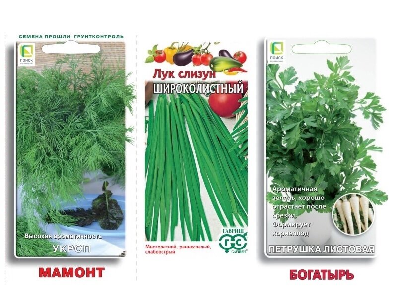Набор семян зелени Карибский микс (Укроп Мамонт, Лук слизун Широколистный, Петрушка Богатырь)