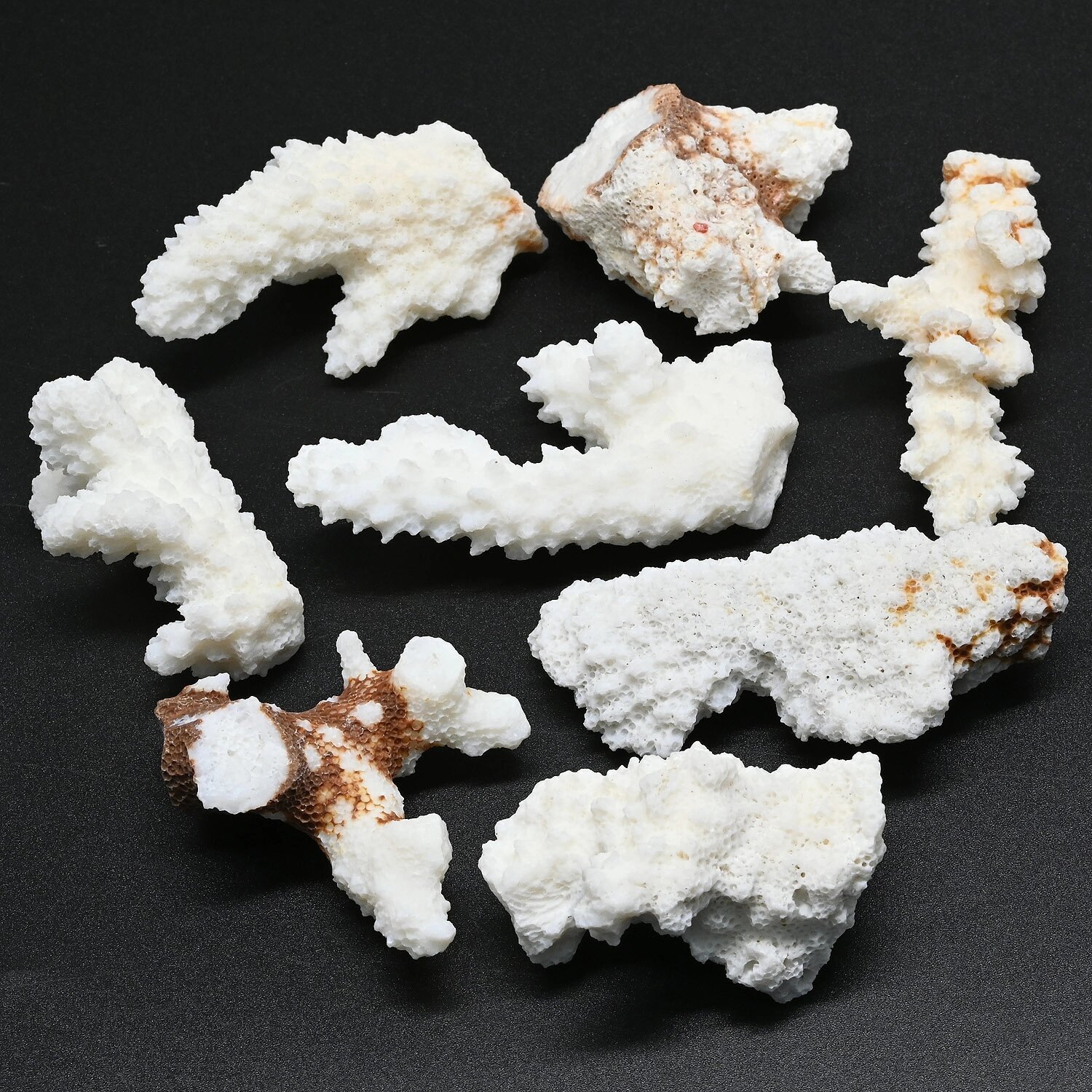 Минерал коралл белый 54*40*26мм. .