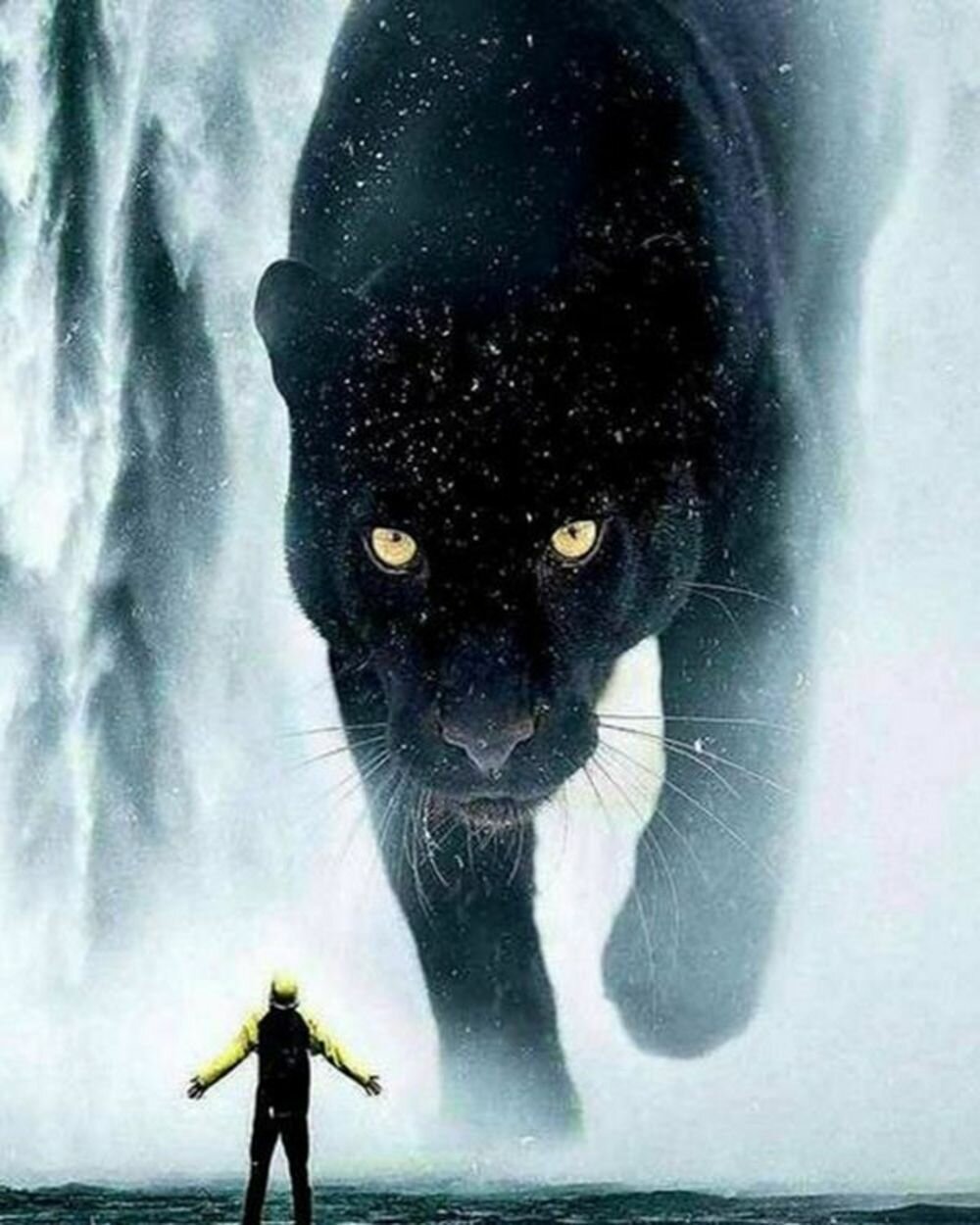 Картина по номерам Гигантская пантера 40х50 см