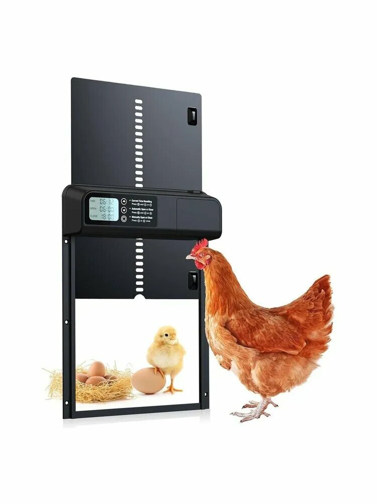 Автоматическая дверь курятника с таймером Алюминий + ABS, водонепроницаемые электрические ворота для домашней птицы IPX3 для фермы фермыFD