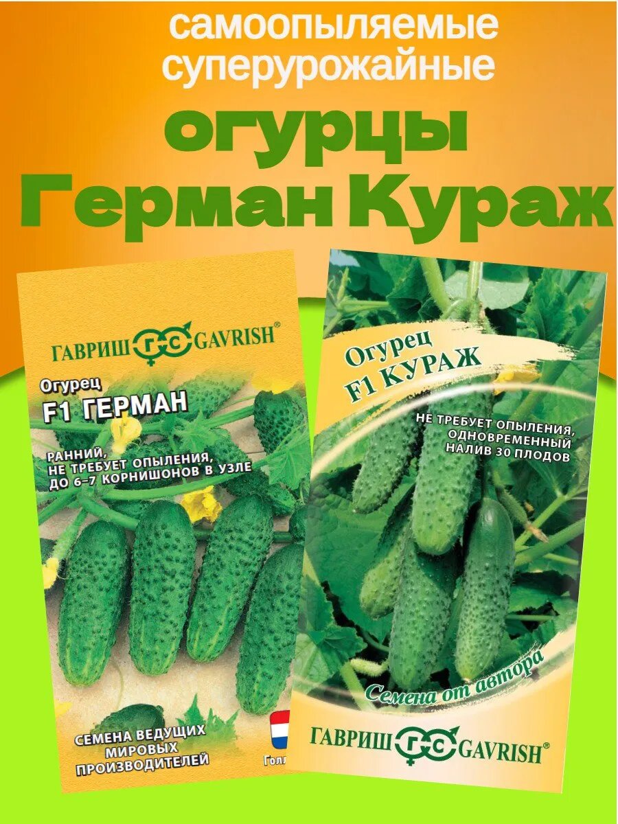Семена огурцов самоопыляемых Кураж Герман 2 пакета
