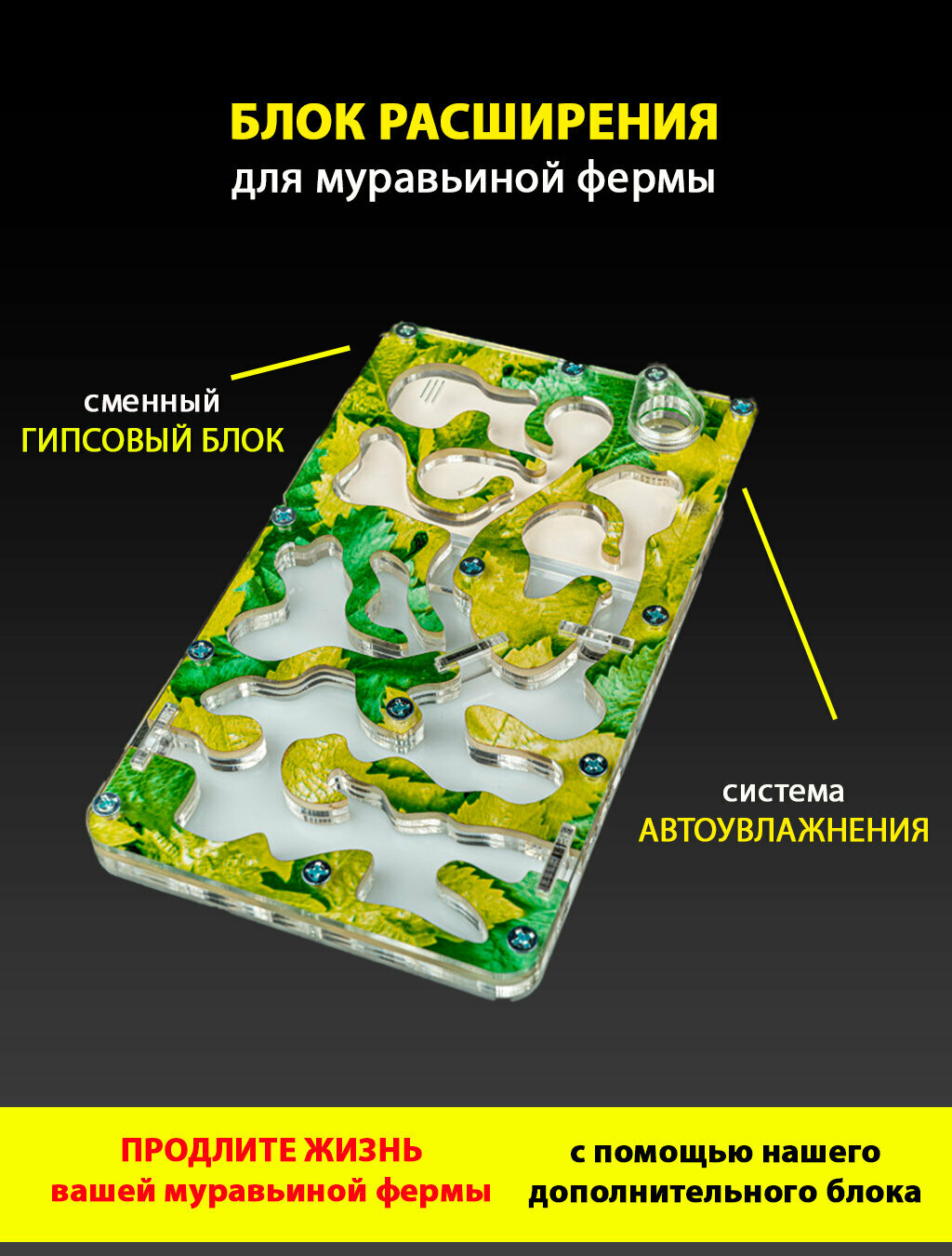 Блок расширения муравьиной фермы AntFarmsNsk
