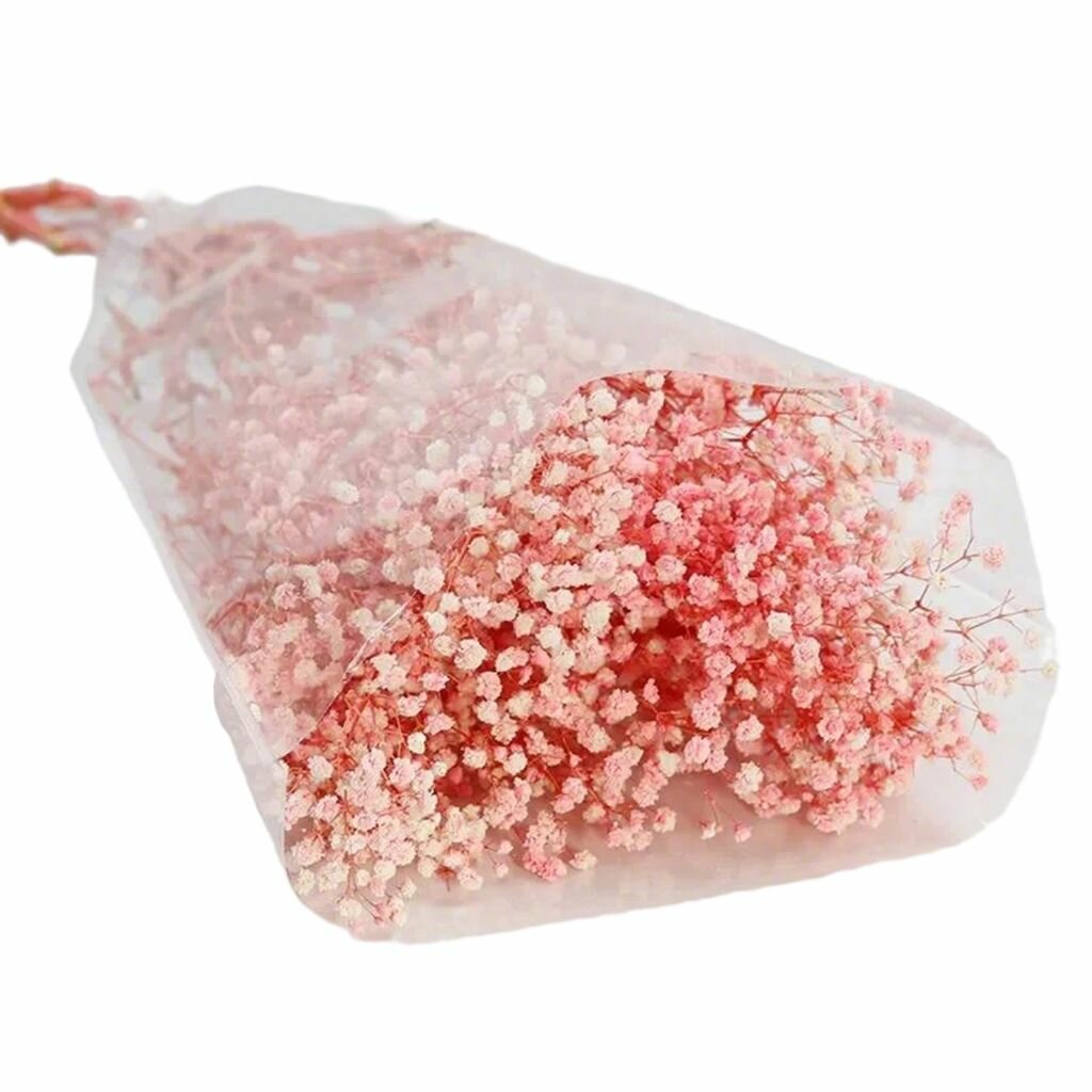 Сушеный гипсофил для декора, Порошок сакуры