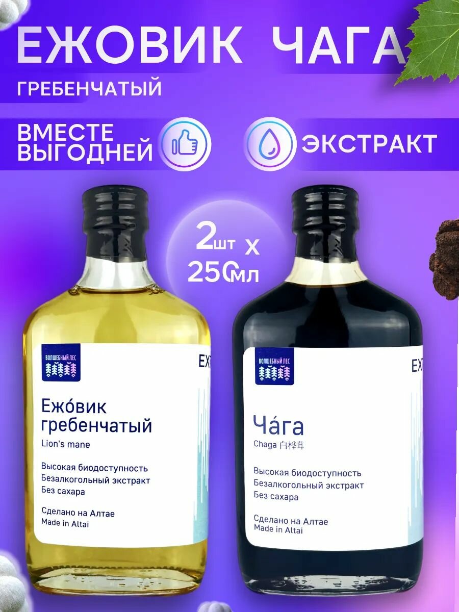 Экстракт ежовика + экстракт чаги