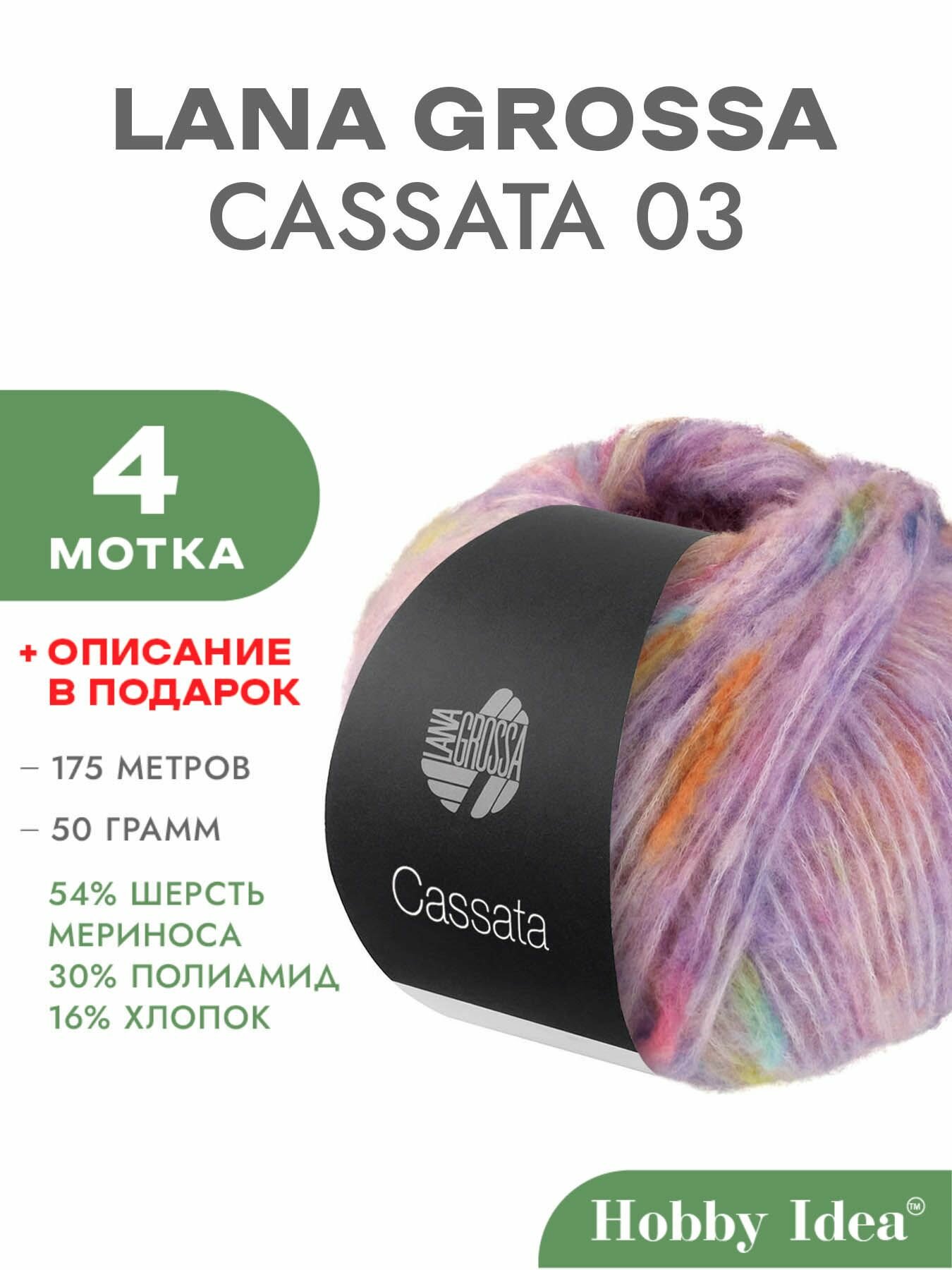 Пряжа Lana Grossa Cassata 03 4 мотка (Лана Гросса Кассата)