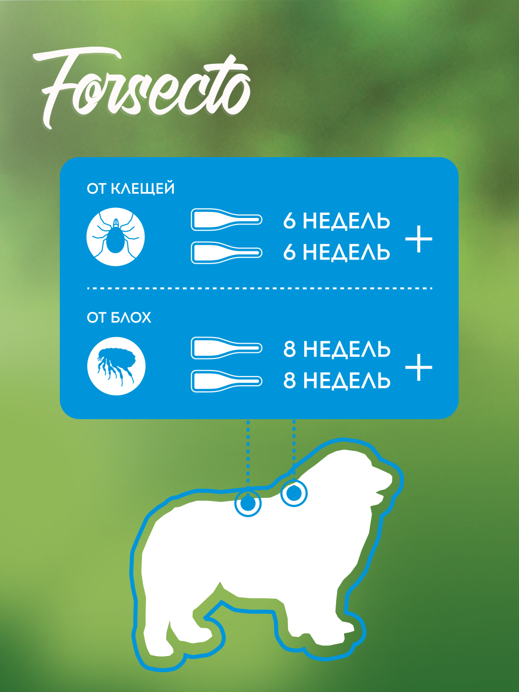 Форсекто капли от блох и клещей Forsecto® для собак и щенков от 30 до 40 кг, 2 пипетки по 4 мл — фото 1