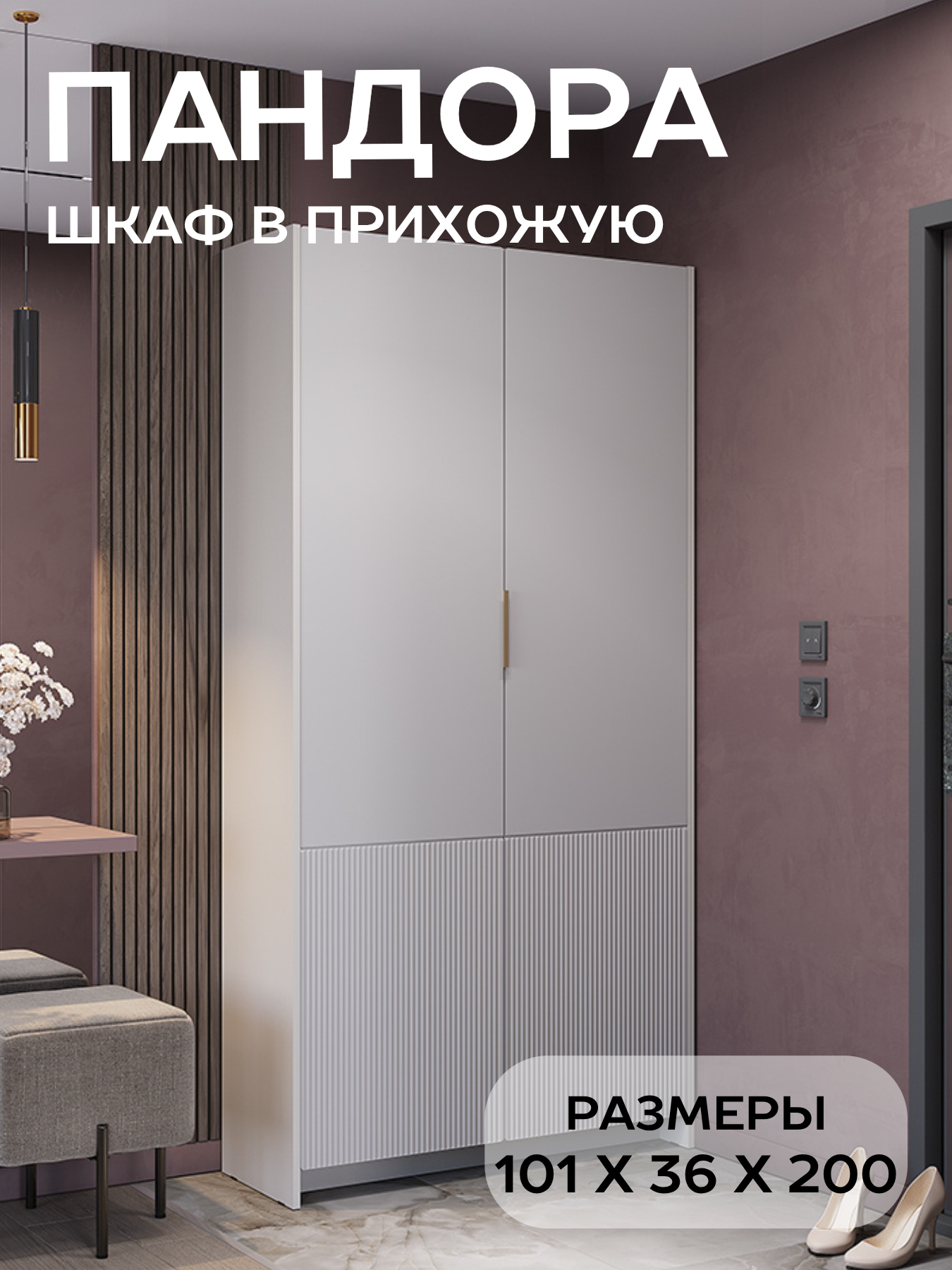 Шкаф в прихожую для одежды распашной БТС Мебель Пандора ШК-01, цвет кашемир, айриш