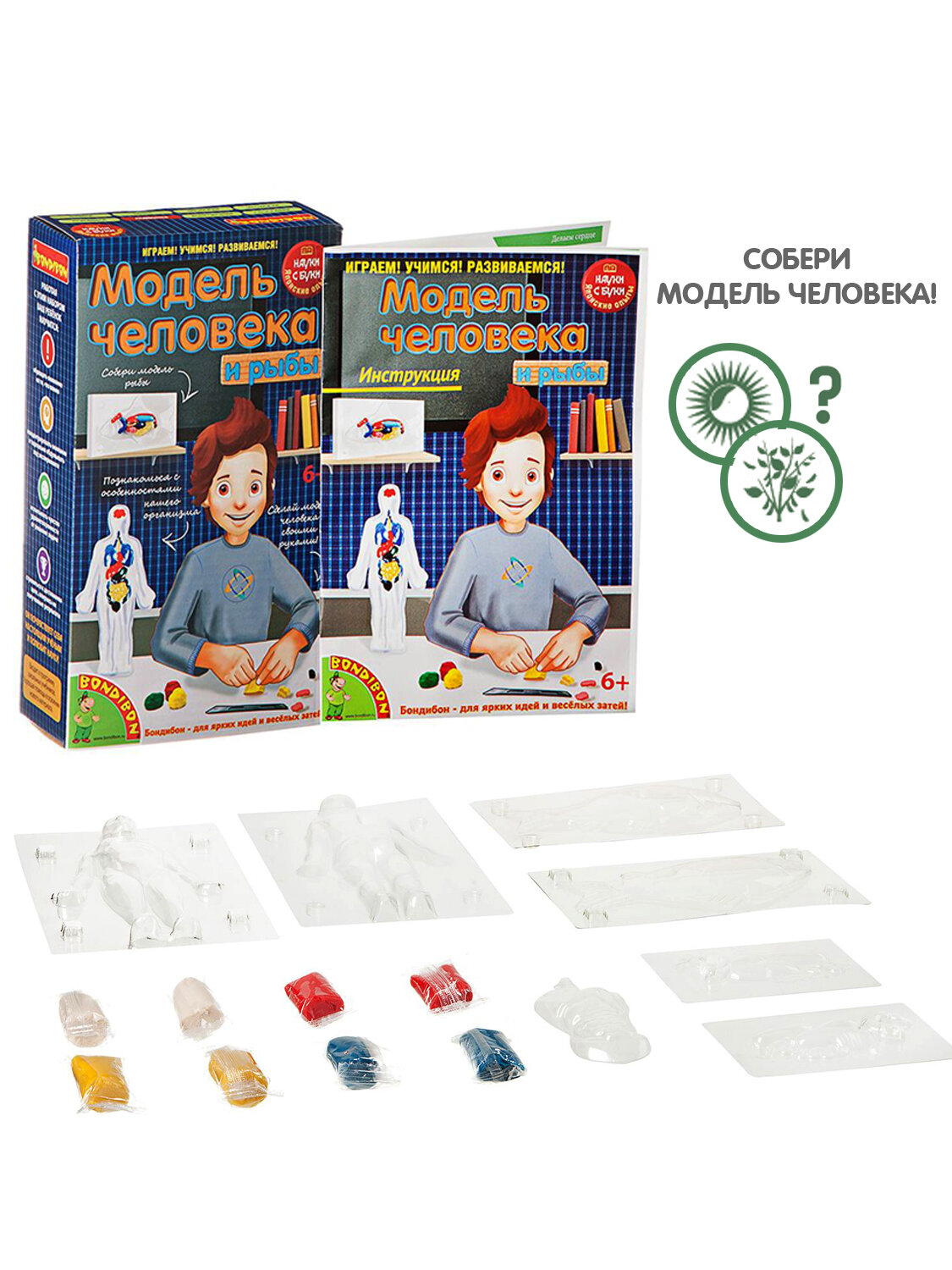 Набор для опытов Bondibon "Модель человека и рыбы" Японские опыты Науки с Буки