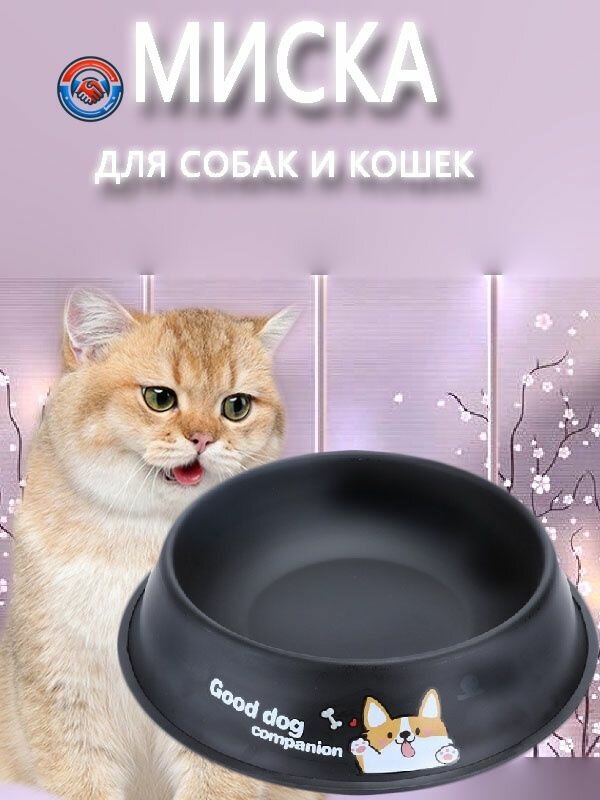 Миска для собак и кошек из нержавеющей стали, лёгкая дорожная поилка-кормушка с ярким принтом для дома и путешествий